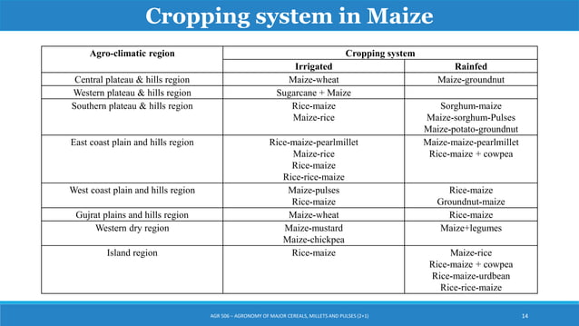 cereal based cropping system in india.pptx