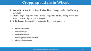 cereal based cropping system in india.pptx