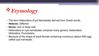 Cereal Cyst Nematode (Heterodera avenae): Biology, Symptoms and ...
