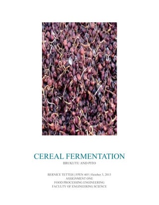 Cereal fermentation : Pito and Brukutu | PDF