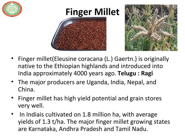 Cereals & Millet Processing | PPT