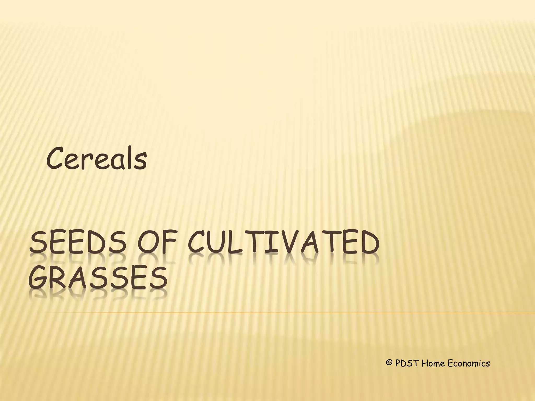 Cereals | PPT