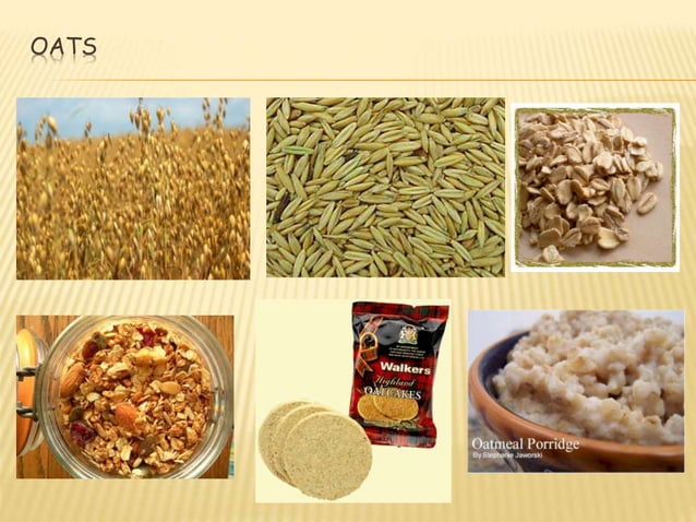 Cereals | PPT | Nutrition | Healthy Living