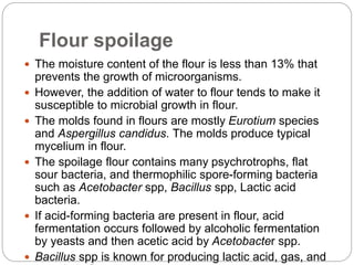 contamination and spoilage of cereals.pptx