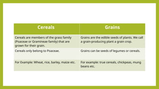 Introduction to Grasses: Cereals and other grain crops | PPTX