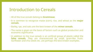Introduction to Grasses: Cereals and other grain crops | PPTX