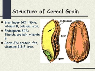 Cereals 1 | PPT | Nutrition | Healthy Living