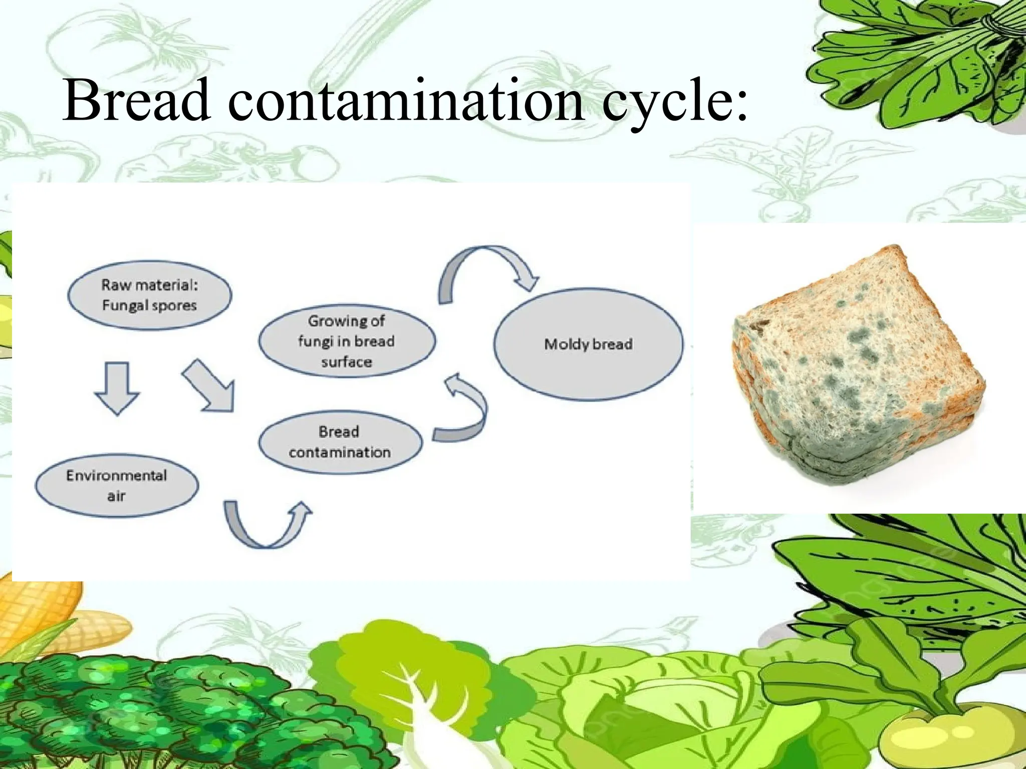 Cereals and Cereal Products (Source of Contamination and preservations ...