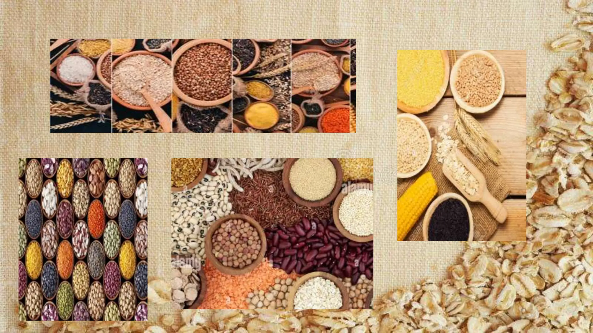 Cereals and Cereals Products.pptx