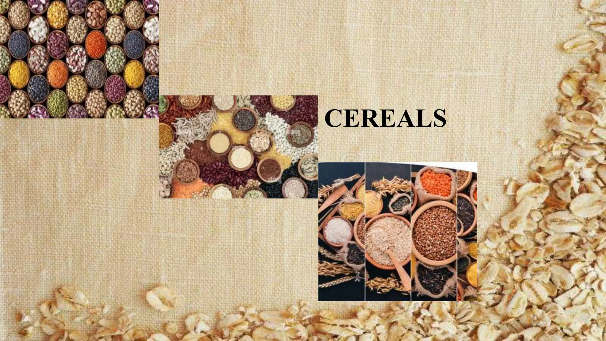 Cereals and Cereals Products.pptx