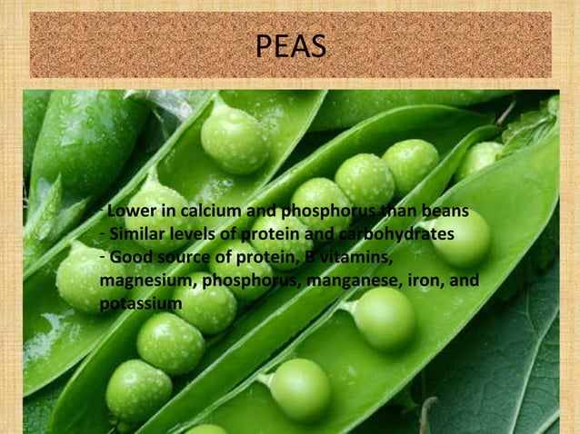 Cereals and legumes | PPT