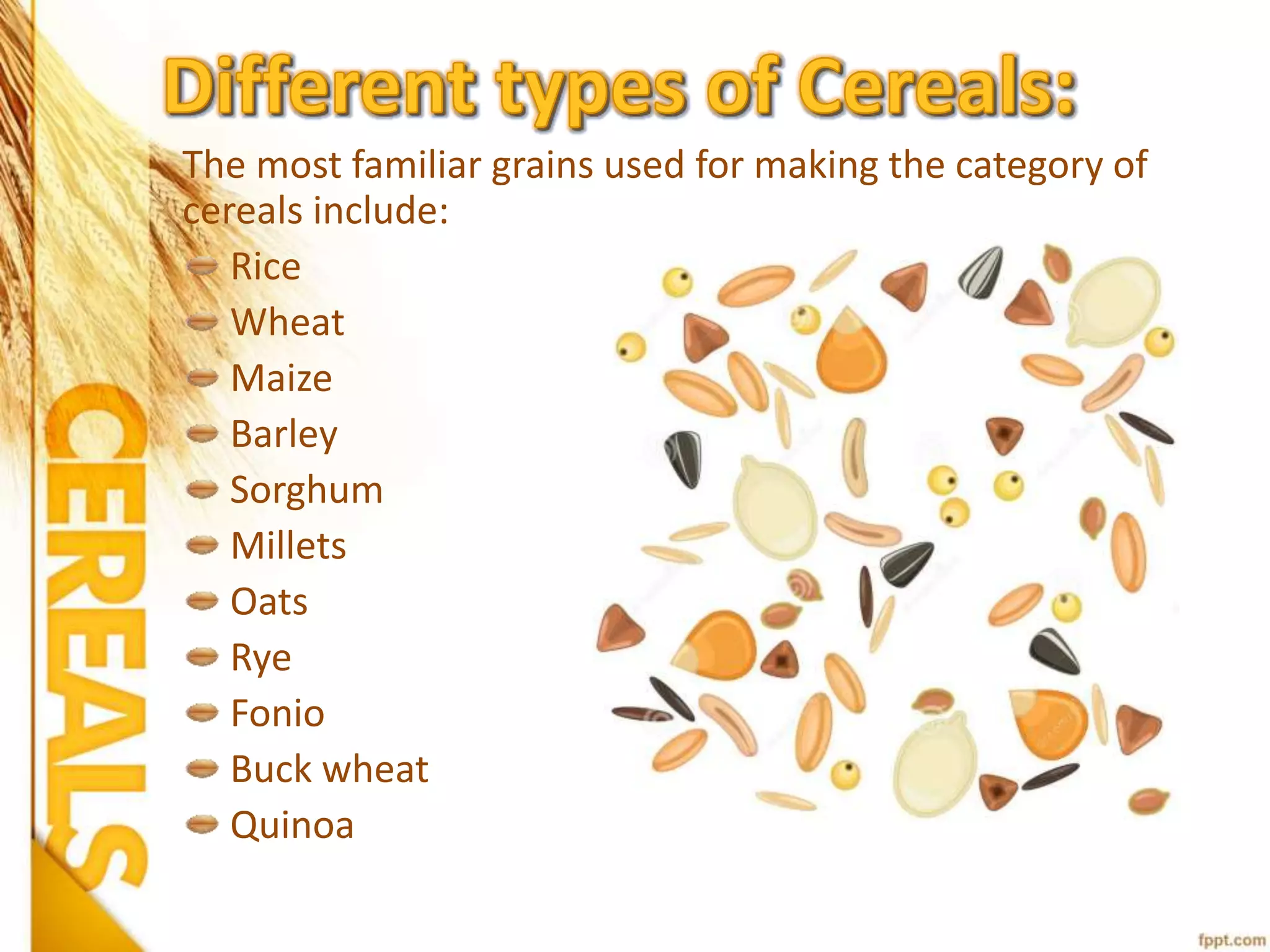 Cereals and its products packaging | PPTX