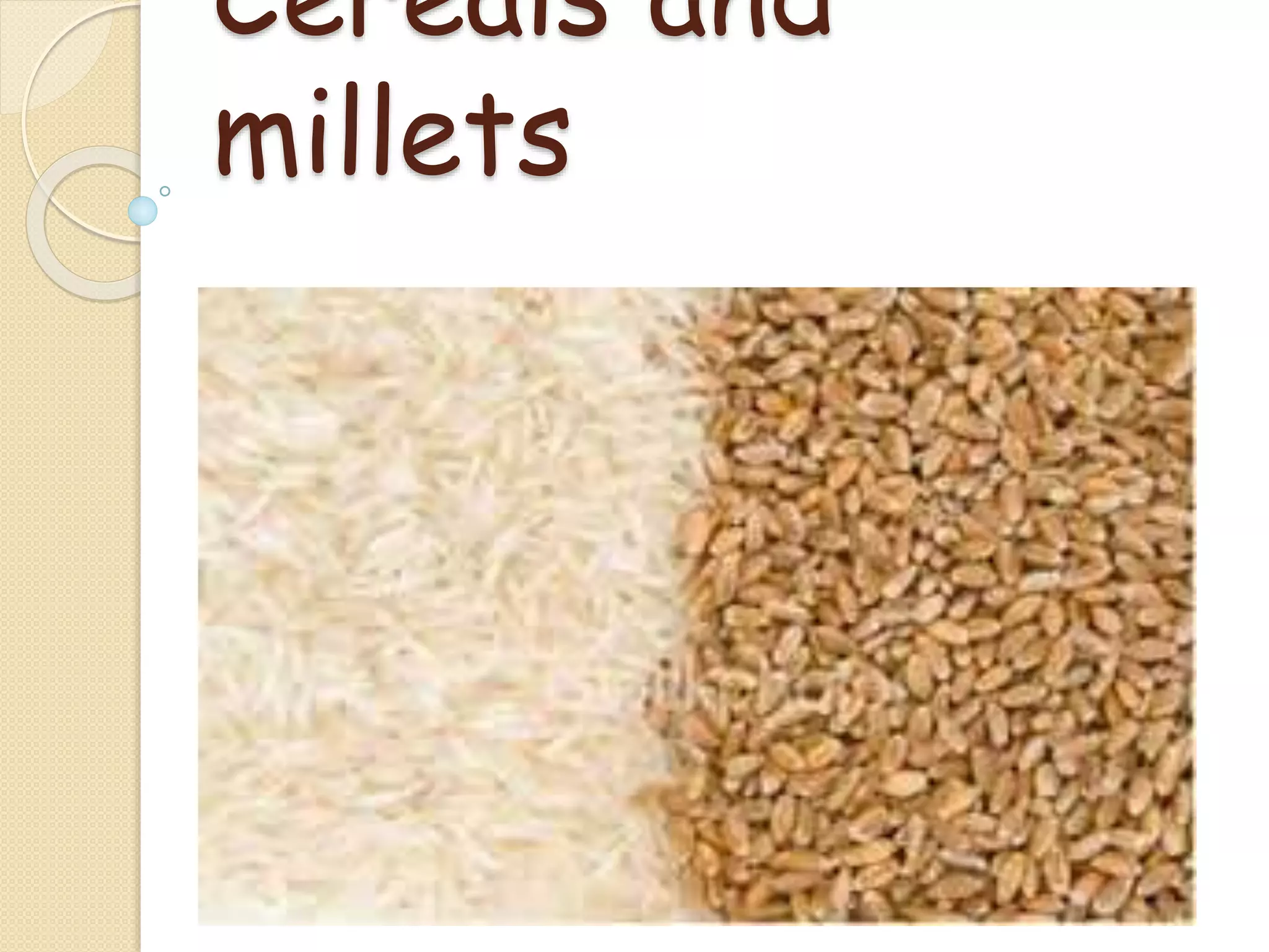 Cereals and millets | PPTX