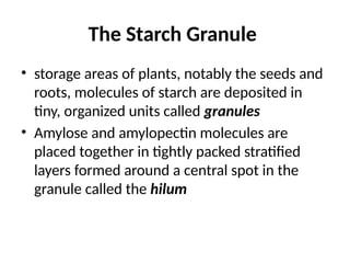 CEREALS_AND_STARCH.pptx for grade 8 Lecture | PPTX
