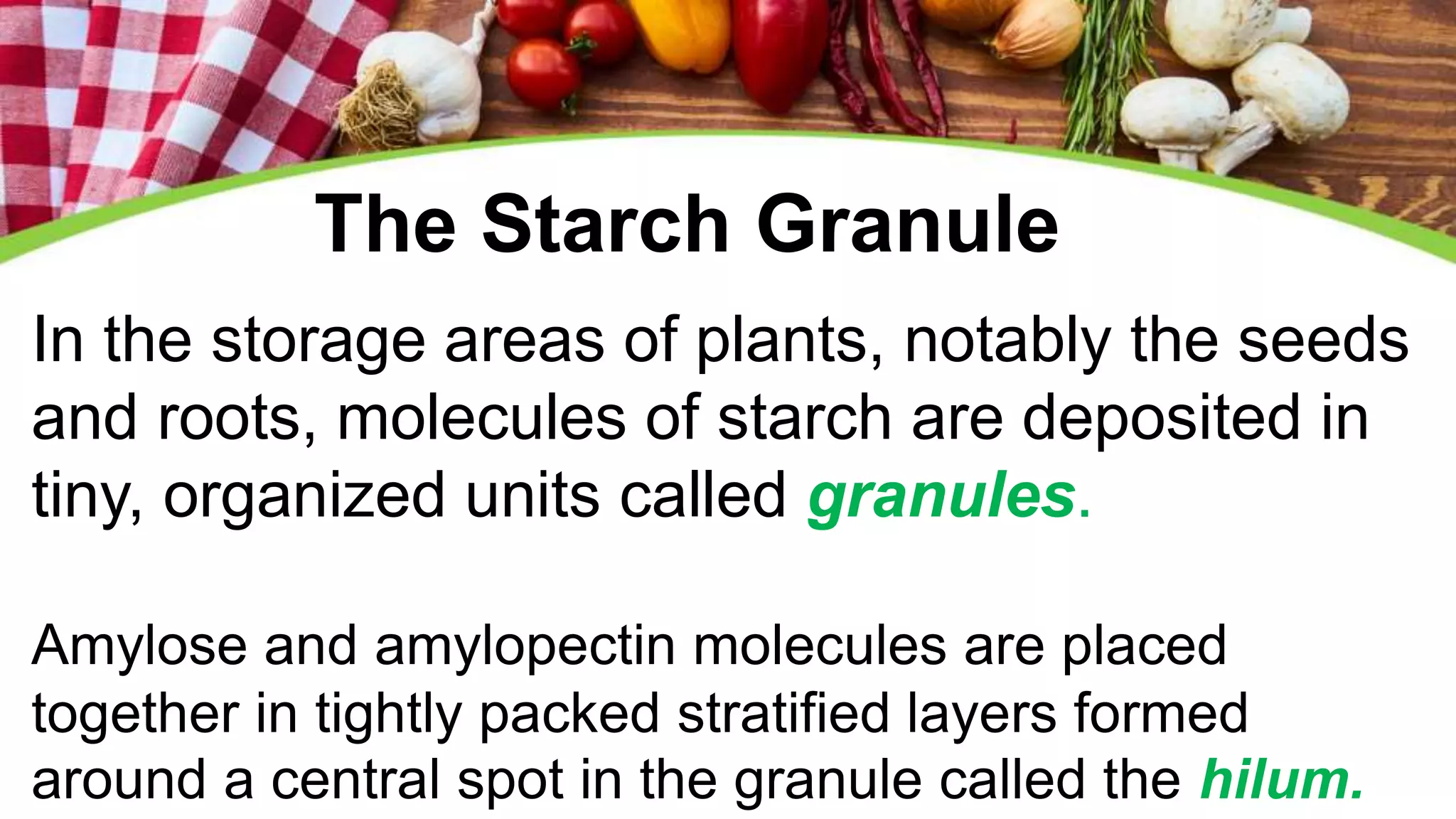 Cereals and Starch presentation.pptx