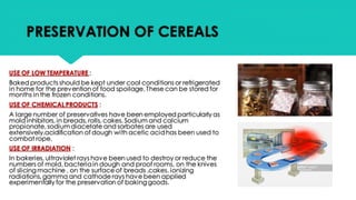 Microbiology Of Cereals And Cereal Products | PDF