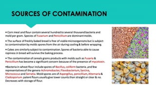 Microbiology Of Cereals And Cereal Products | PDF