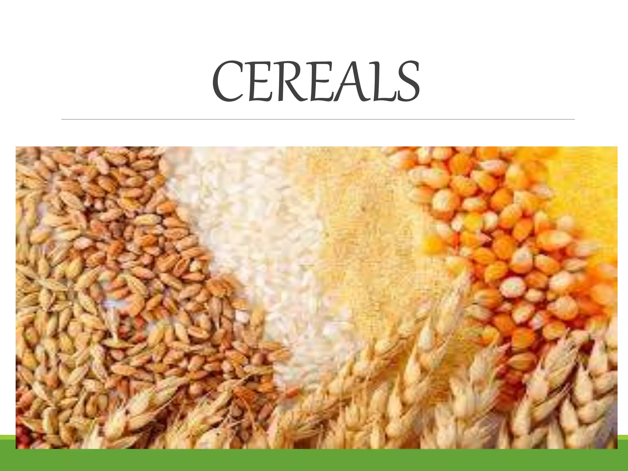 Cereals (food production) | PPTX