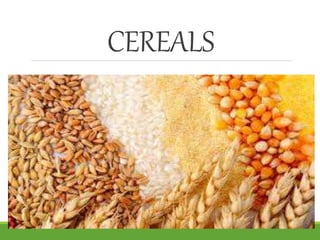 Cereals (food production) | PPTX