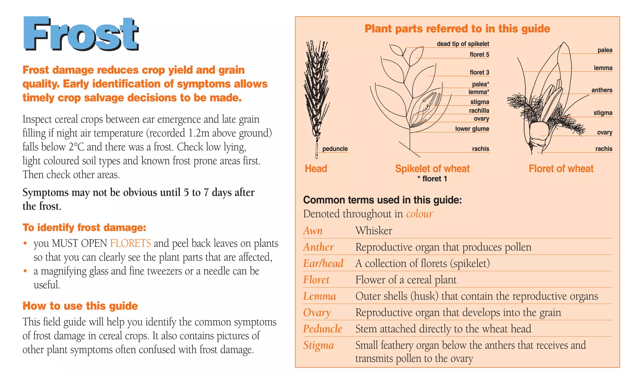 Cereals frost guide grdc australia 2003 | PDF