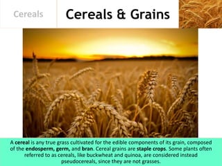 Cereals | PPTX | Agriculture | Industries