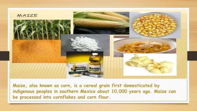 CEREALS PPT.pptx | Food & Drink