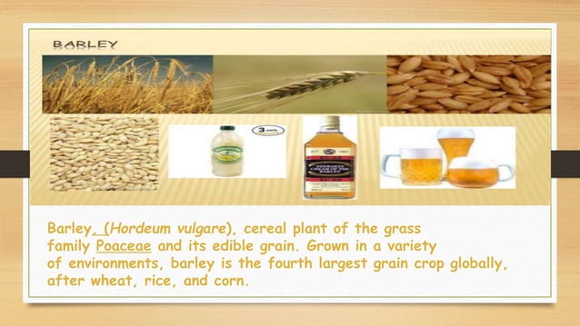 CEREALS PPT.pptx | Food & Drink