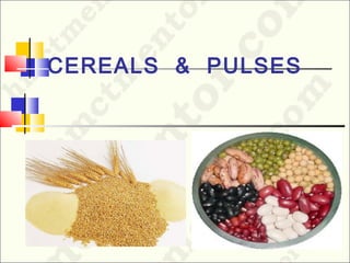 Cereals And Pulses Chart