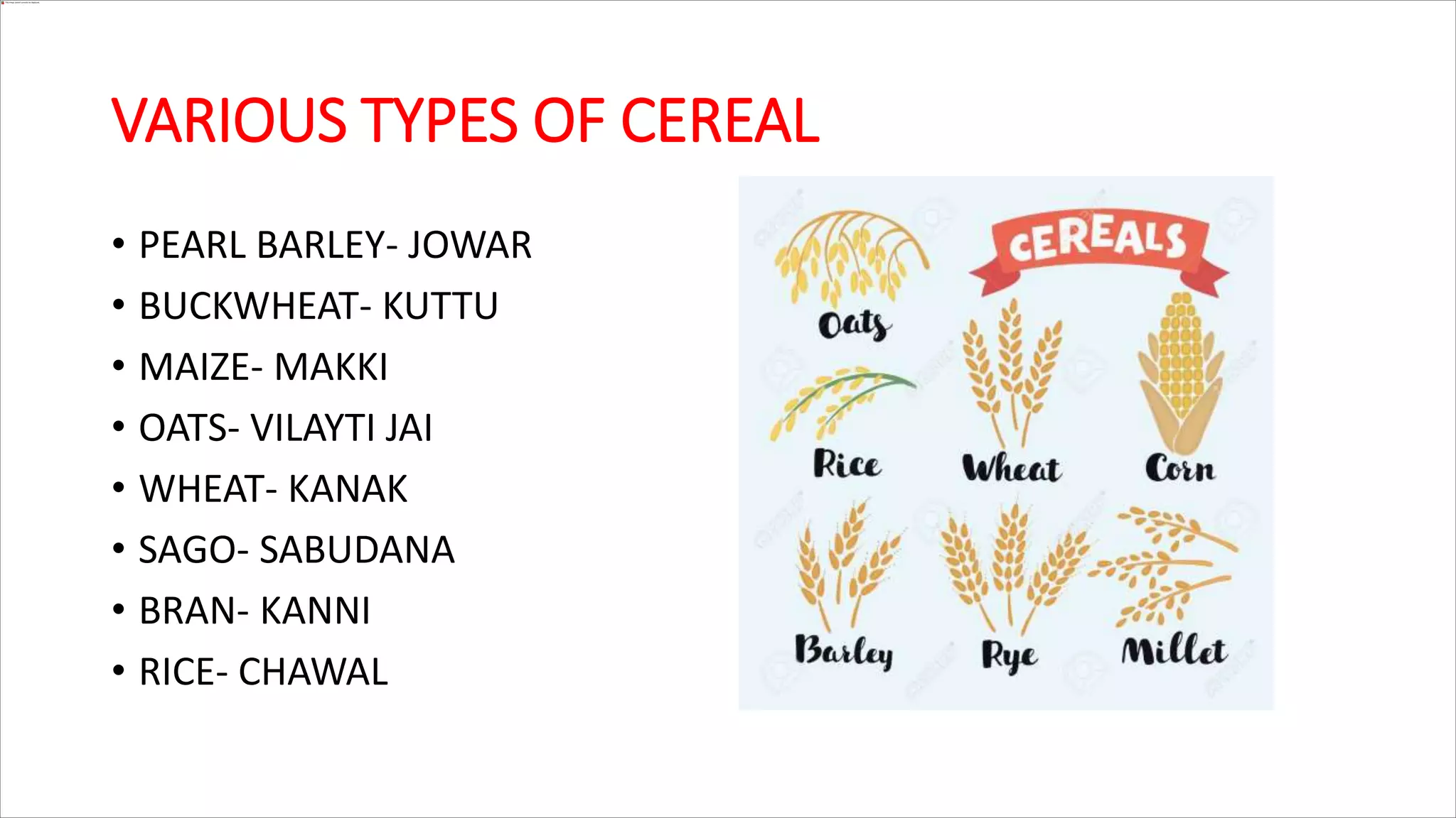 Cereals,pulses and rice | PPTX