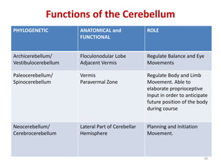 Cerebellar Vermis Function