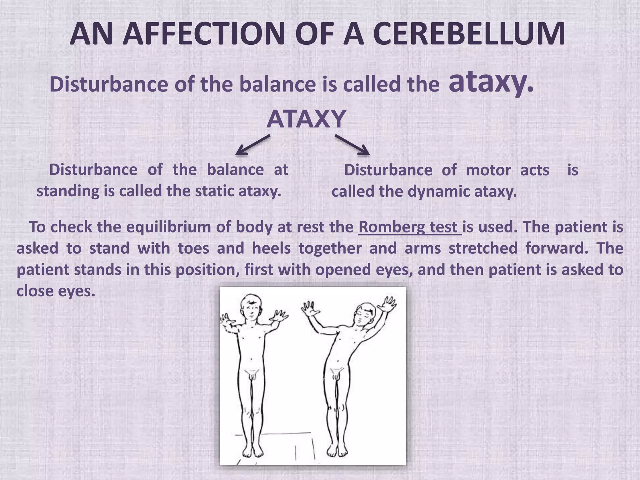 Cerebellum (Neurology 3) | PPT