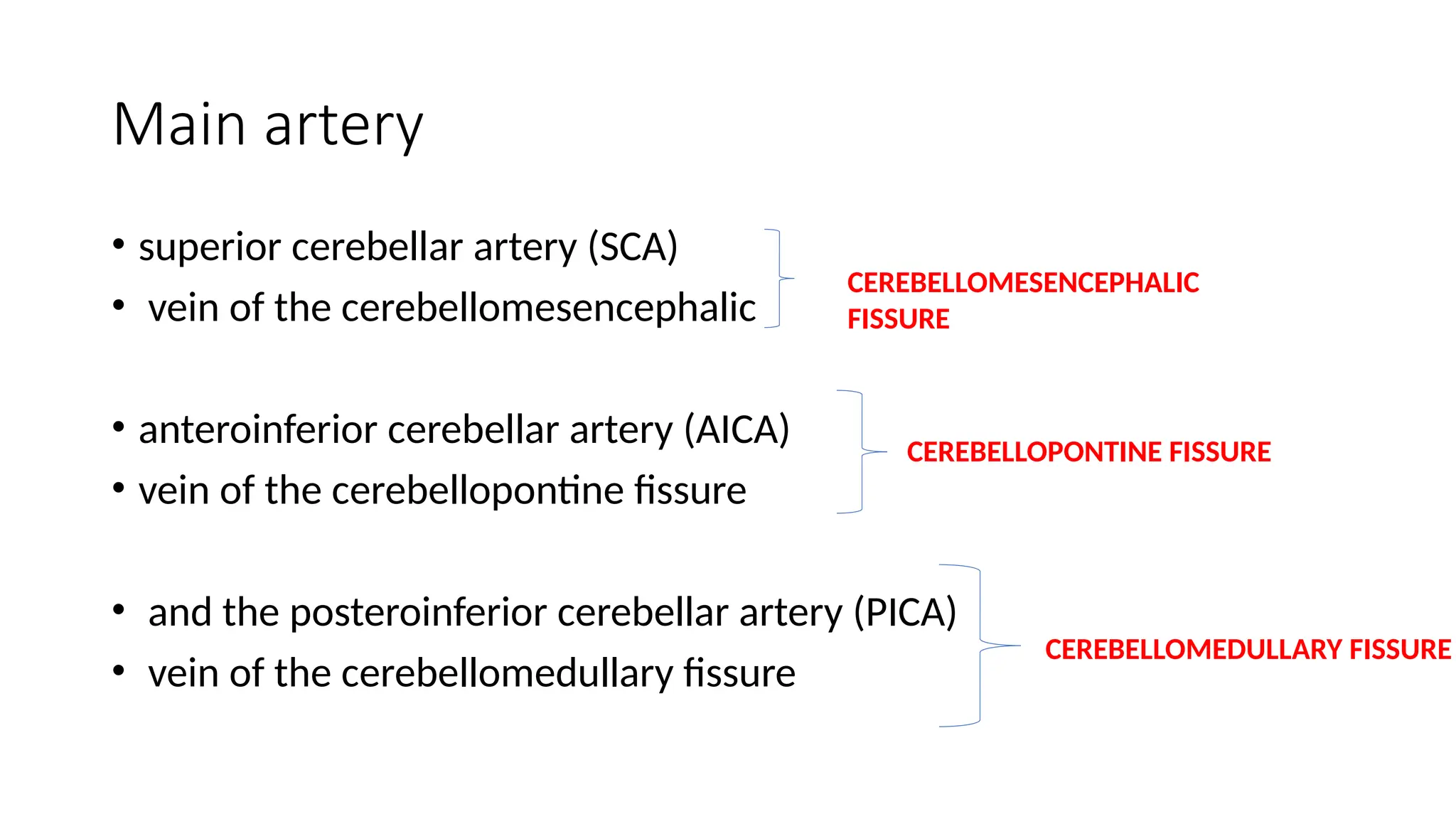 cerebellar anatomy and physiology mictrosurgical anatomy and approches ...