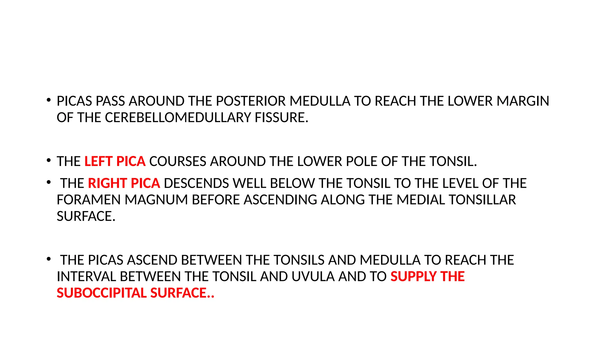 cerebellar anatomy and physiology mictrosurgical anatomy and approches ...