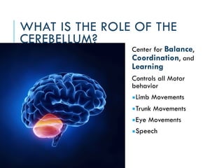 Physiotherapy Exercises in the management of Cerebellar ataxia.pdf