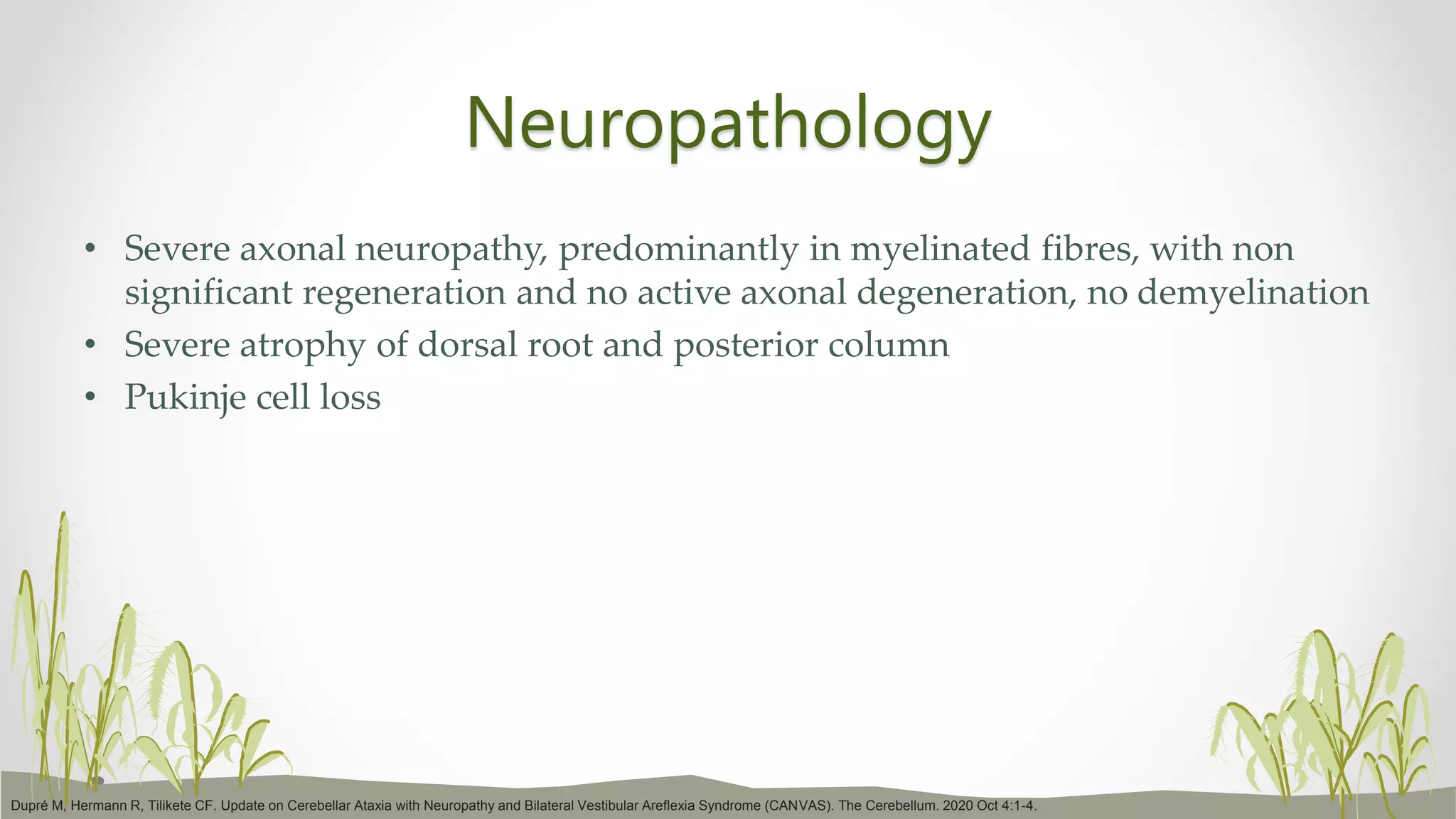 Cerebellar Ataxia with Neuropathy and Bilateral Vestibular Areflexia ...
