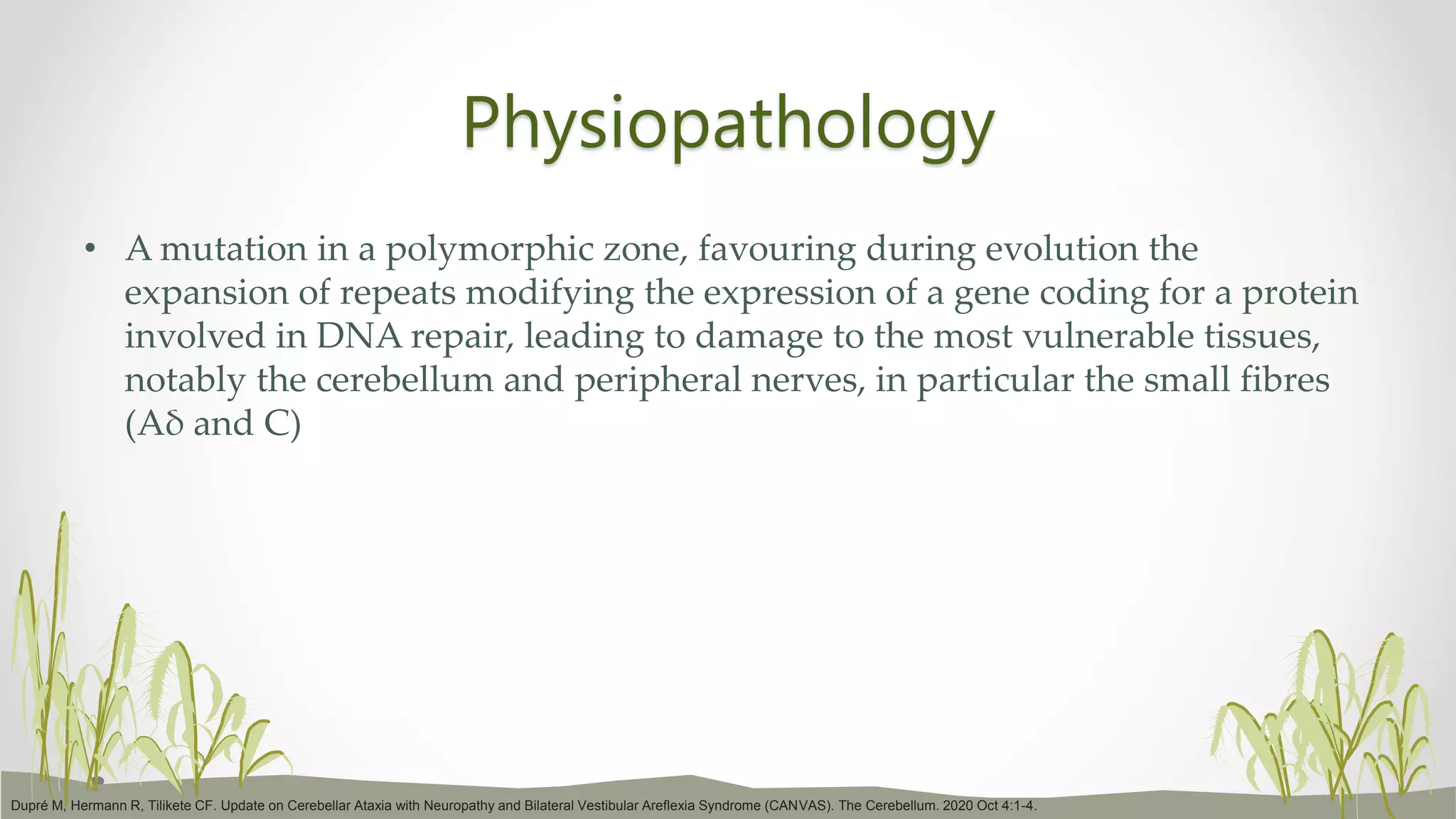 Cerebellar Ataxia with Neuropathy and Bilateral Vestibular Areflexia ...