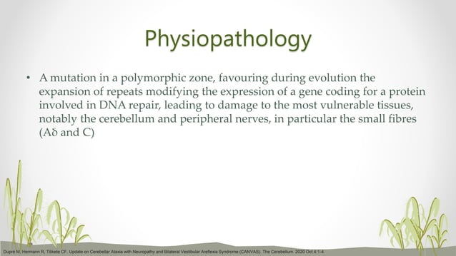 Cerebellar Ataxia with Neuropathy and Bilateral Vestibular Areflexia ...