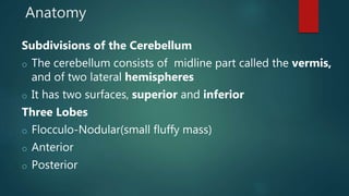 Cerebellar diseases. igbiti | PPTX