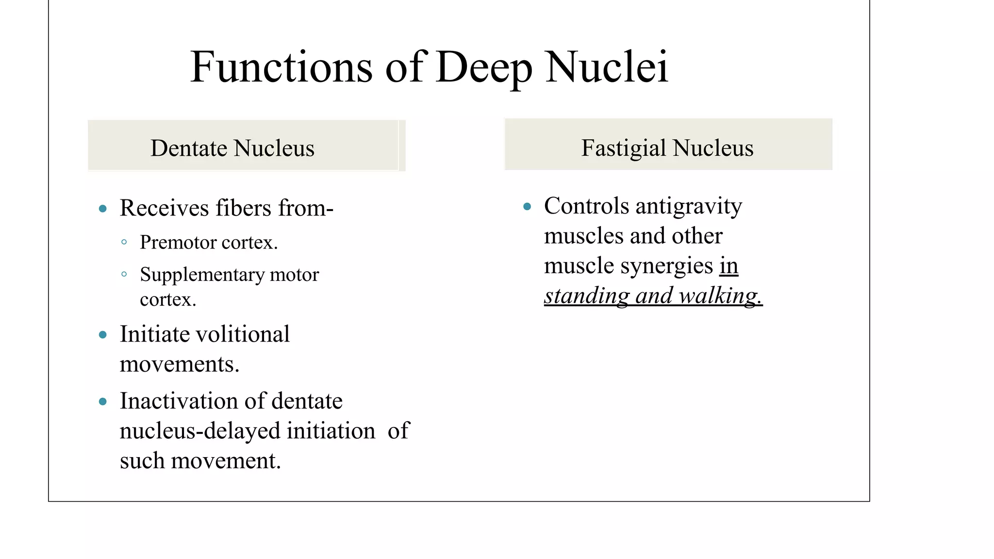 Cerebellar disorders | PPTX