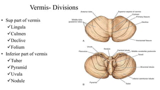 Cerebellar disorders | PPTX