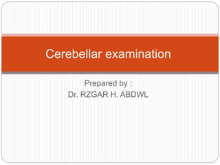 Cerebellum Function Tests