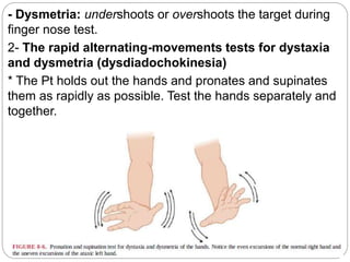 Rapid Alternating Movements