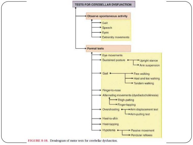 Cerebellar examination