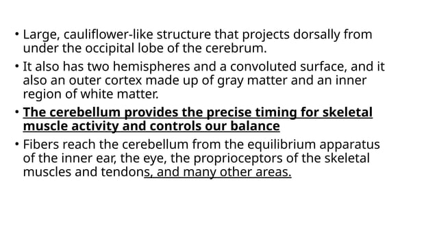cerebellar function medical learns.pptx