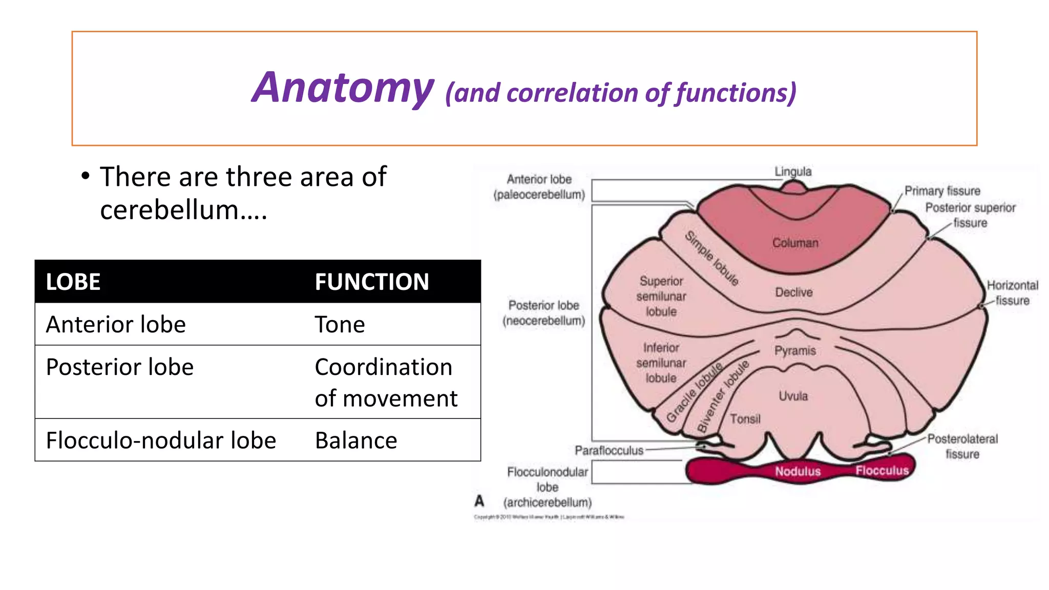 Cerebellar signs | PPTX