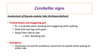 Cerebellum Function Tests