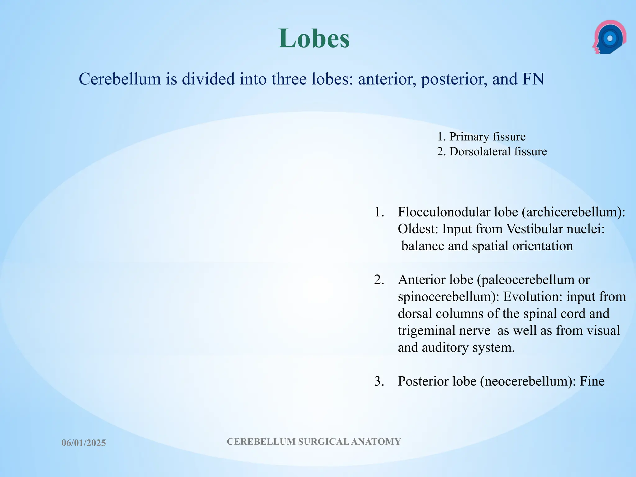 cerebellarsurgicalanatomy-1808822884.pptx