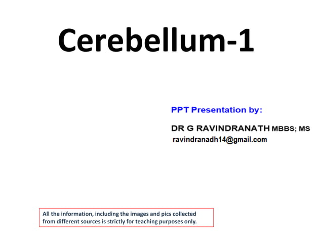 Anatomy of Cerebellum 1 | PDF | Brain and Nervous System Disorders ...