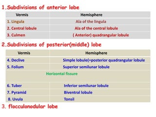 Anatomy of Cerebellum 1 | PDF
