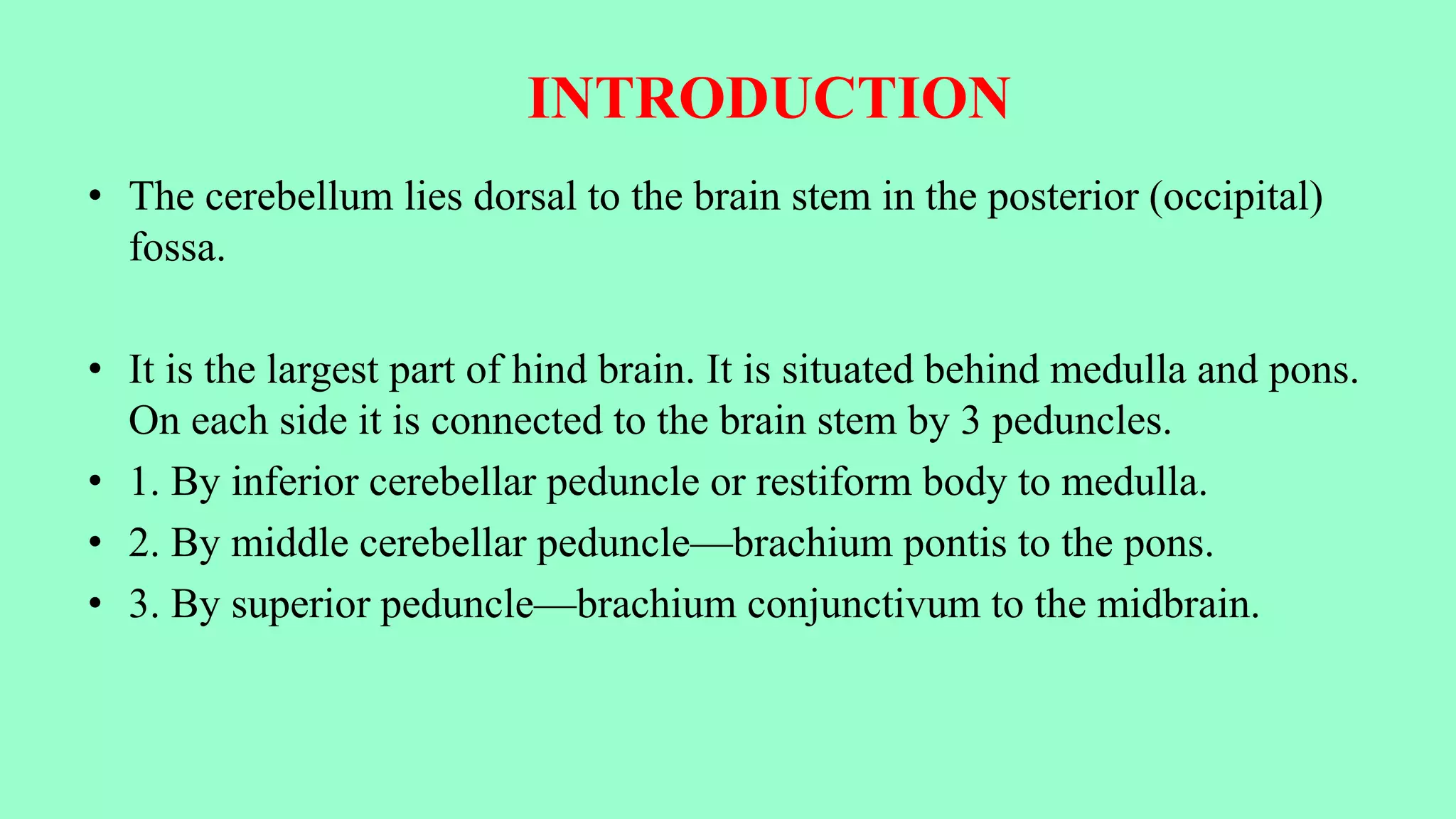 CEREBELLUM -1.pptx | Brain and Nervous System Disorders | Diseases and ...